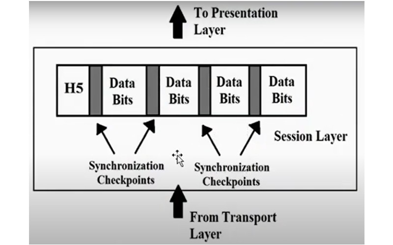 Session Layer trong mô hình OSI và các giao thức phổ biến