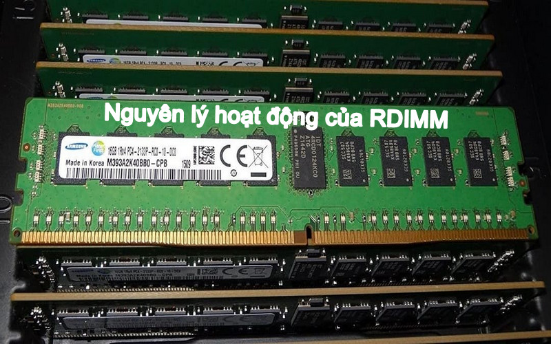RDIMM Là Gì? Điểm khác nhau giữa RDIMM, UDIMM và LRDIMM