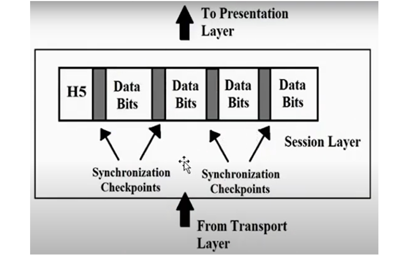 Session Layer trong mô hình OSI và các giao thức phổ biến