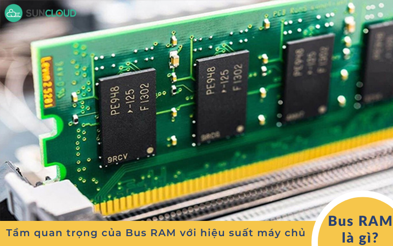 Bus RAM là gì? Tầm quan trọng của Bus RAM với hiệu suất máy chủ