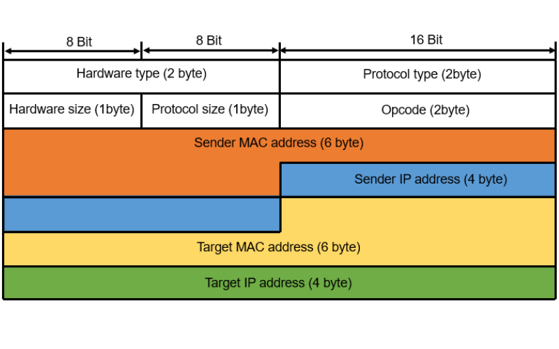 Internet Layer và các giao thức nổi bật trong mô hình TCP/IP?