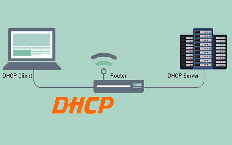 DHCP là gì? Vai trò và cách thức hoạt động của DHCP