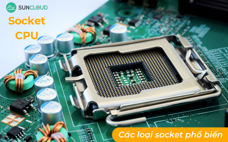 Socket CPU là gì? Các loại socket phổ biến và hỗ trợ CPU