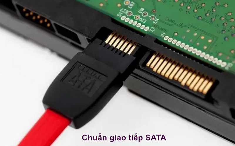 So sánh SATA và SAS - Hai chuẩn ổ cứng phổ biến cho máy chủ