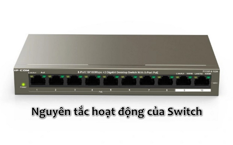 Switch là gì? Nguyên tắc hoạt động của thiết bị chuyển mạch