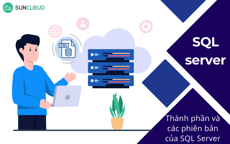 SQL server là gì? Thành phần và các phiên bản của SQL Server