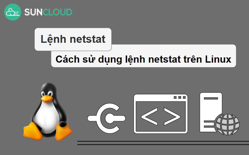 Lệnh netstat là gì? Cách sử dụng lệnh netstat trên Linux